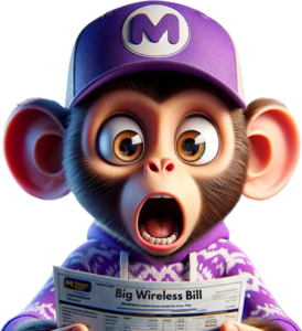 What Network does Spectrum Mobile Use? - MoneySavingPro